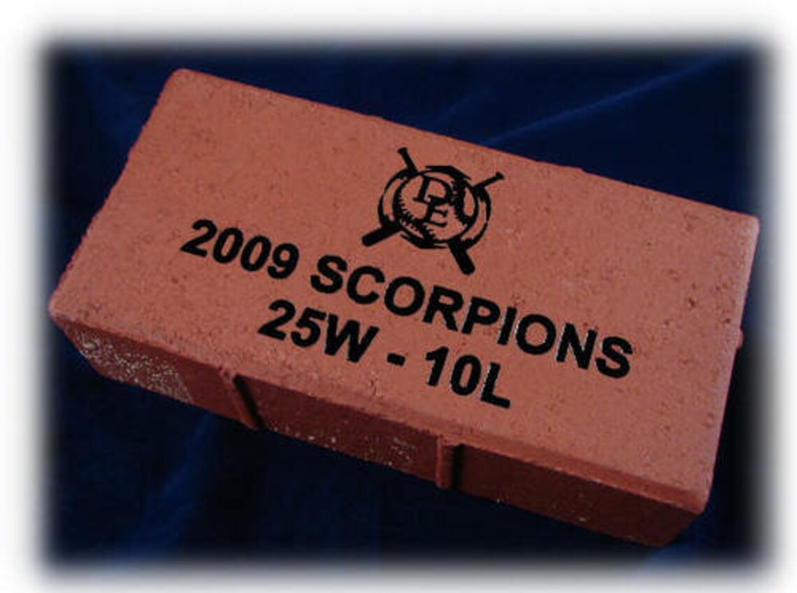 Customizable Laser Engraved Brick 8x8 4x8 or 2x8 | Etsy