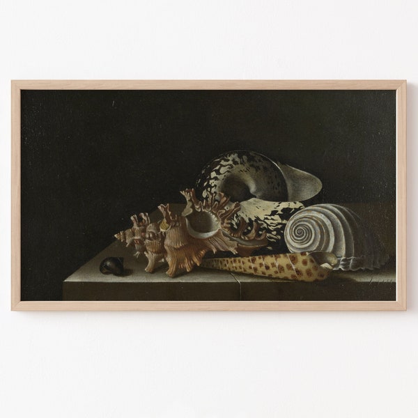 Framed Shell Art - Etsy