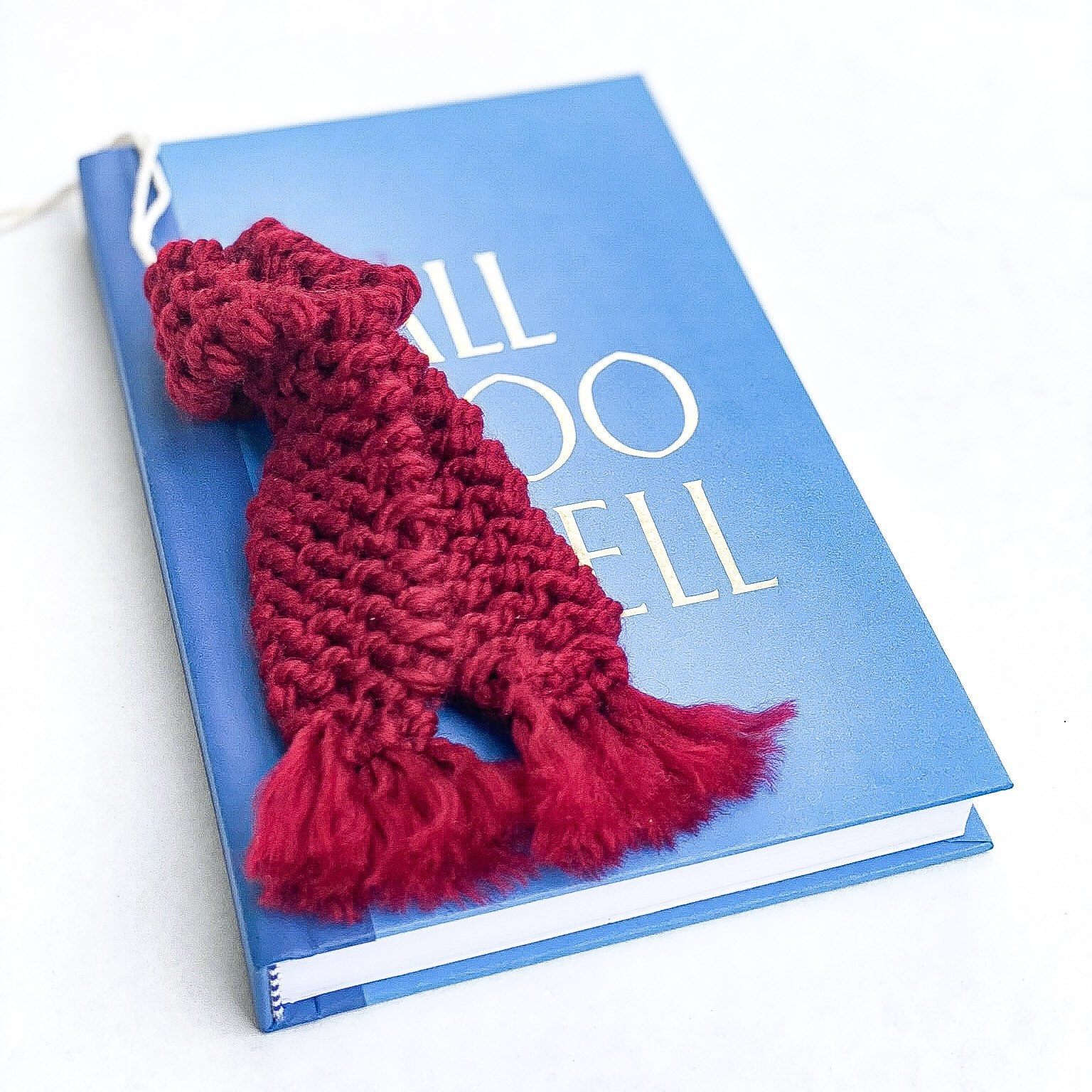 Taylor Swift Red Scarf