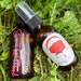 Set the Mood Room Spray - Etsy