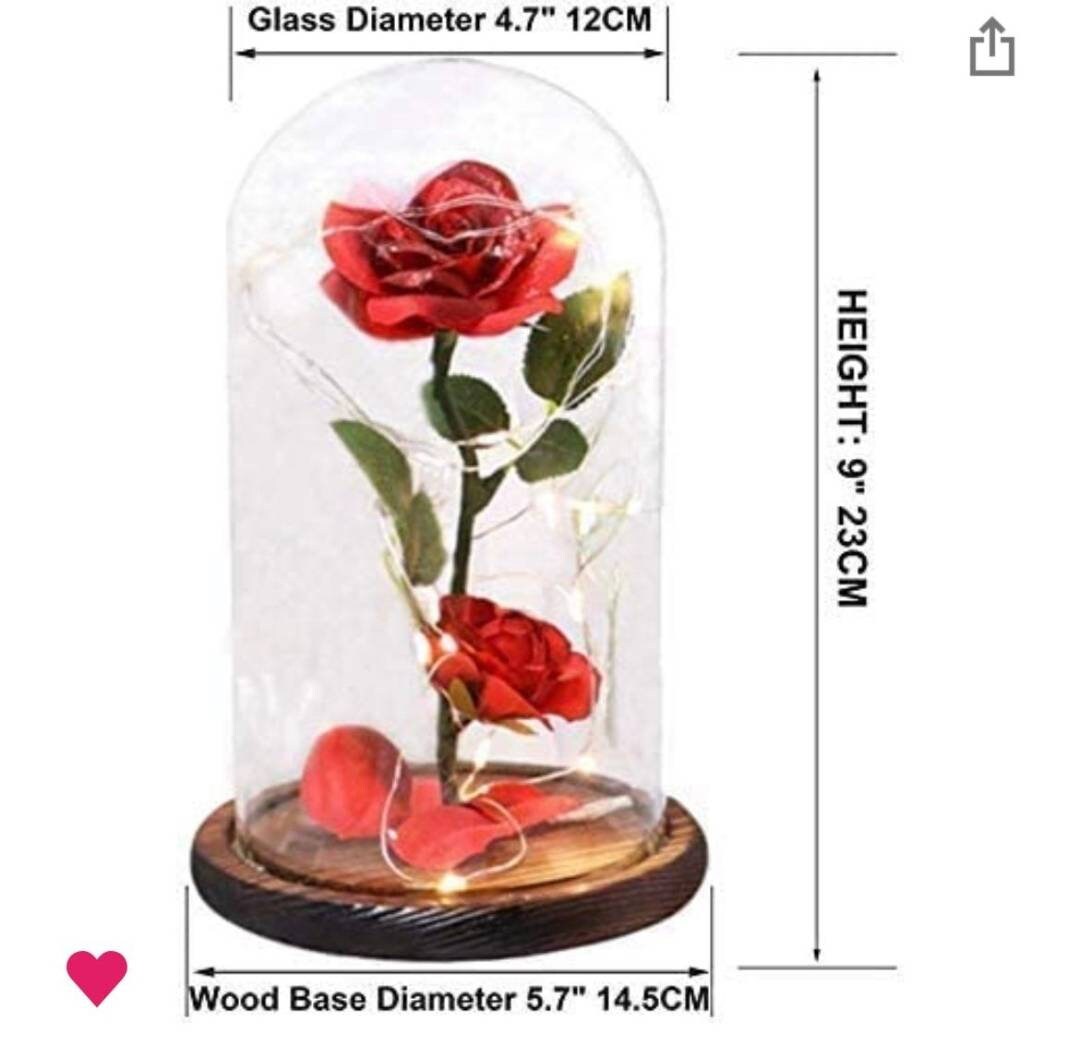 Snow White Funko Pop Encased in Glass - Etsy