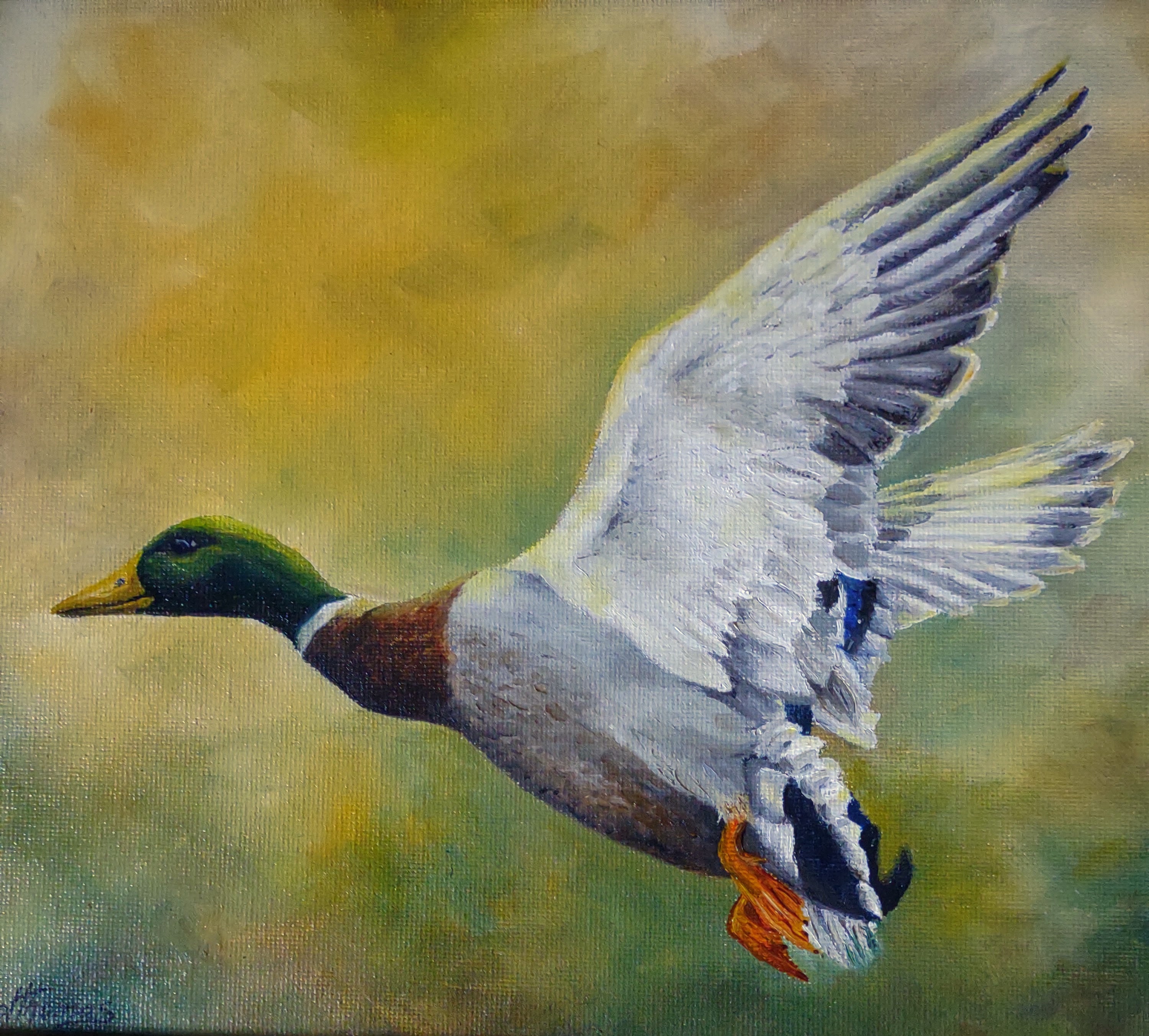 Original Mallard Duck Oil Painting, Hand Painted Oil on Canvas Framed ...
