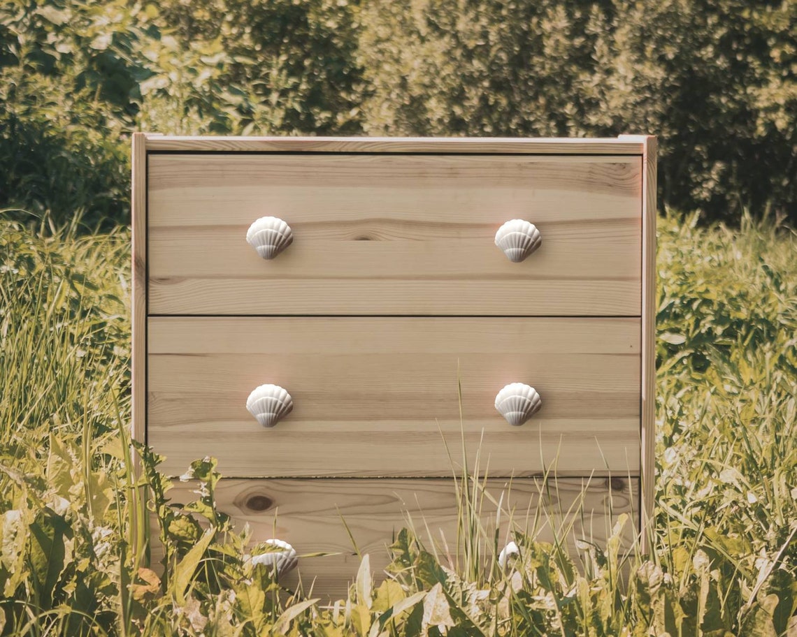 Seashell Knobs Beach Knobs Nautical Knobs Coastal Decor - Etsy