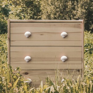 Seashell Knobs Beach Knobs, Nautical Knobs, Coastal Decor, White Dresser Knobs, White Drawer ...
