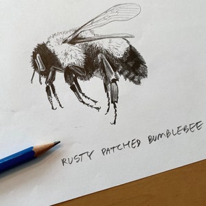 Bumblebee - Etsy