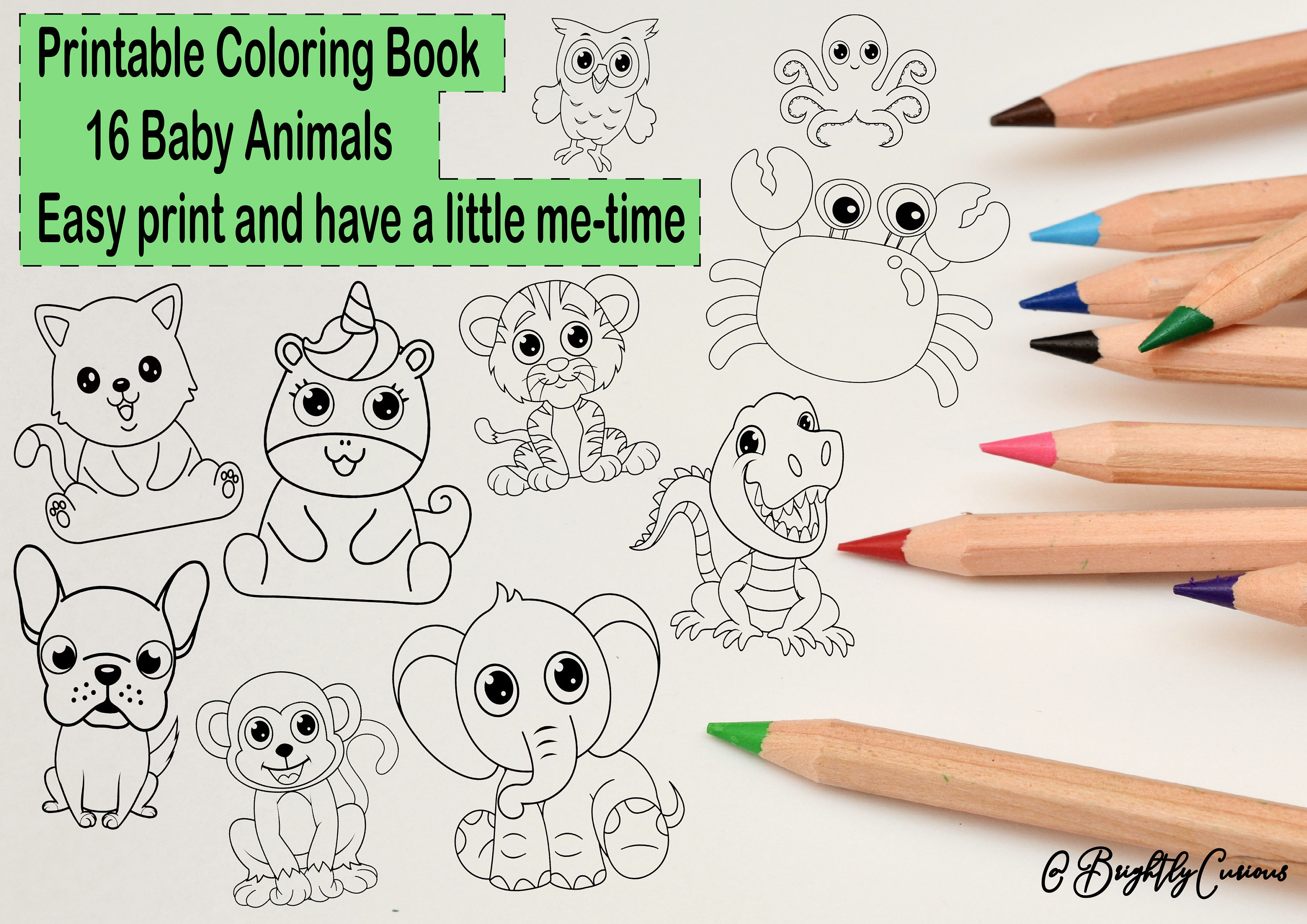 Coloring Pages Baby Animals