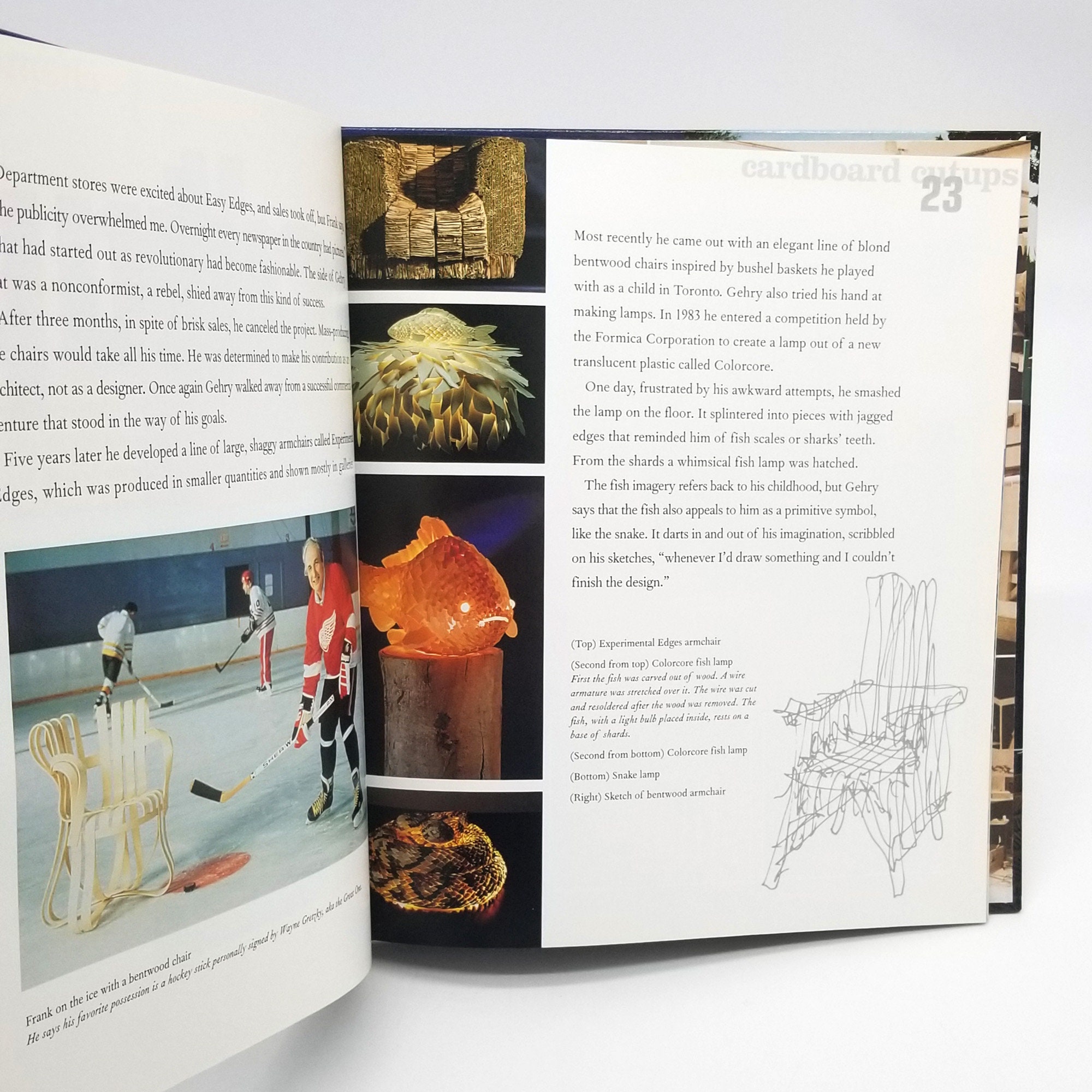 Frank O. Gehry Outside In, Jan Greenberg & Sandra Jordan, 1st Edition ...