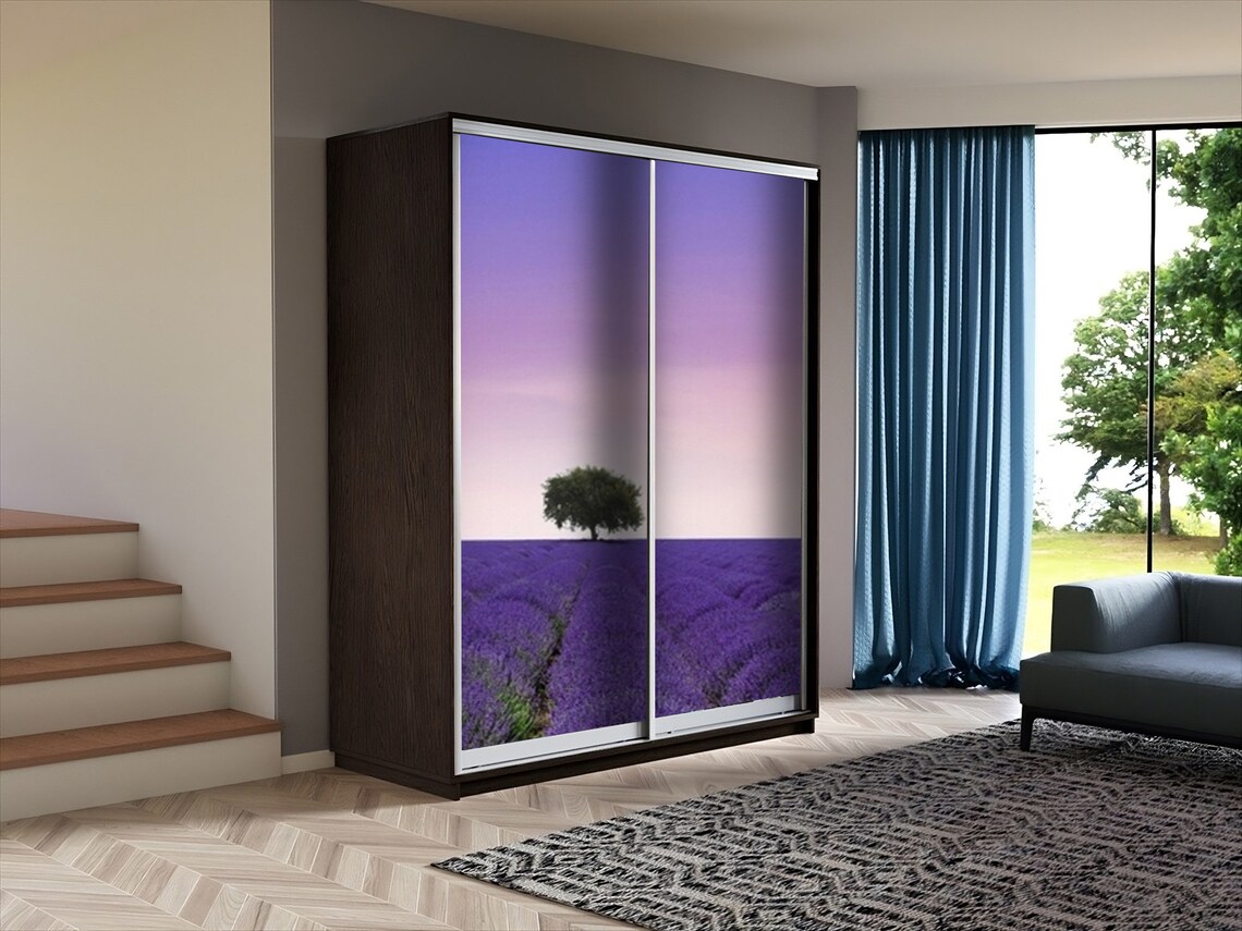 Elegant Door & Wardrobe Decals - Customizable Closet Murals for ...