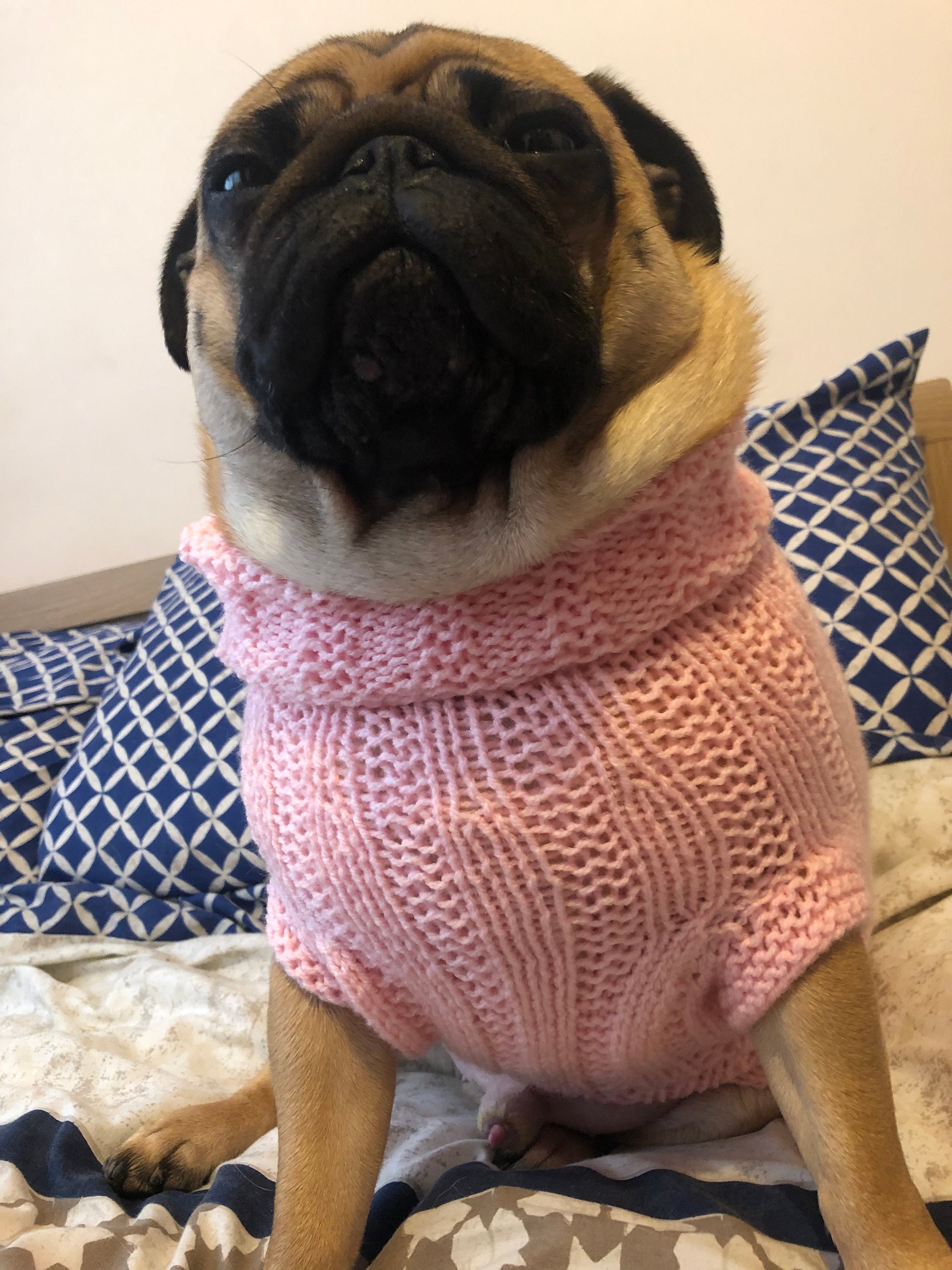 Hand Knitted Baby Pink Dog Jumper - Etsy