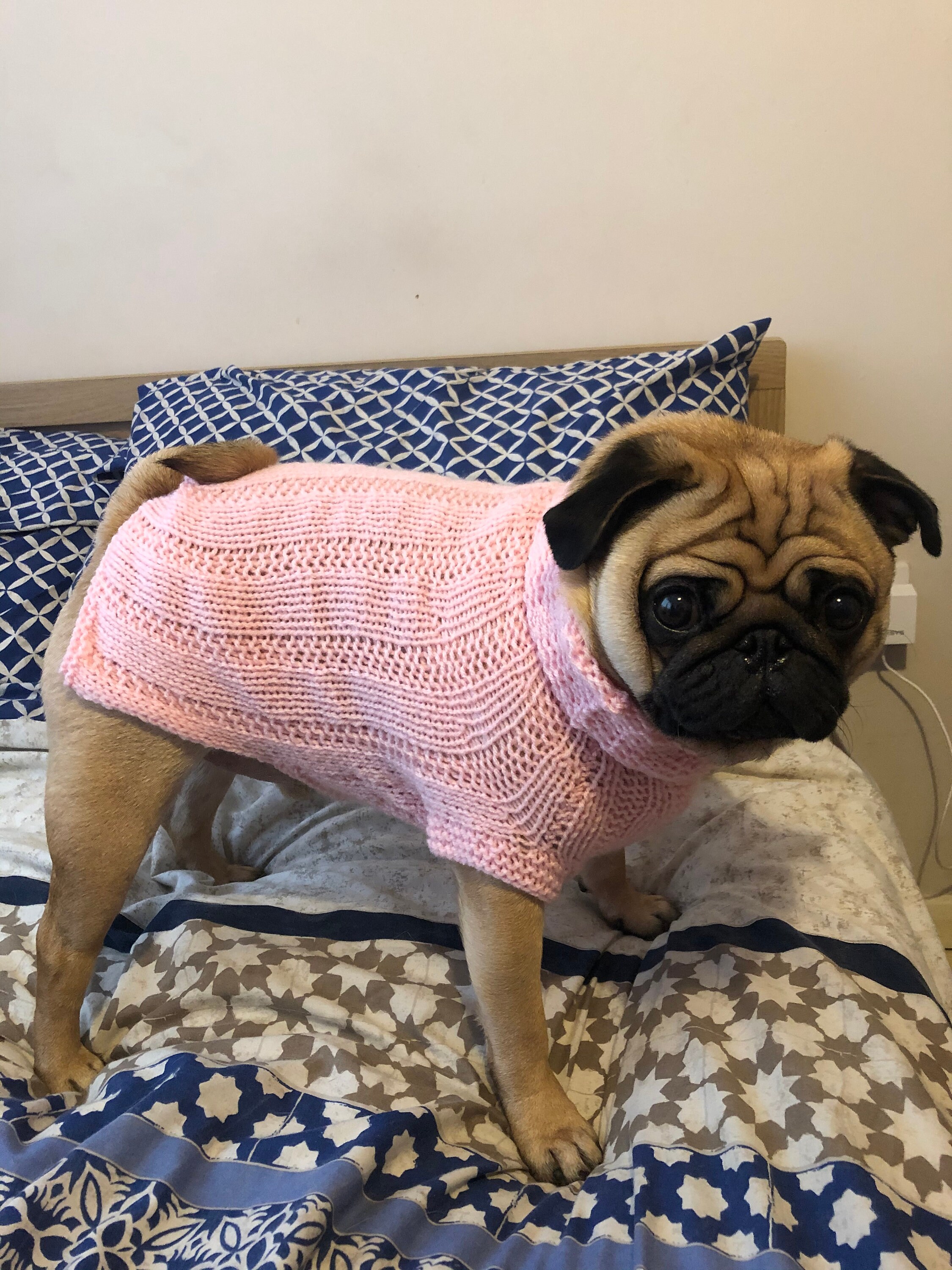 Hand Knitted Baby Pink Dog Jumper - Etsy