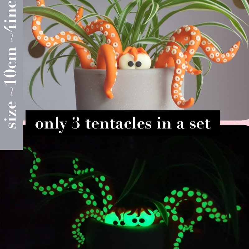 Quirky Pot for Plants - Etsy UK