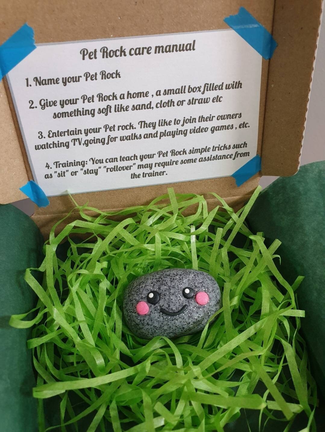 Pet Rock Home Ideas