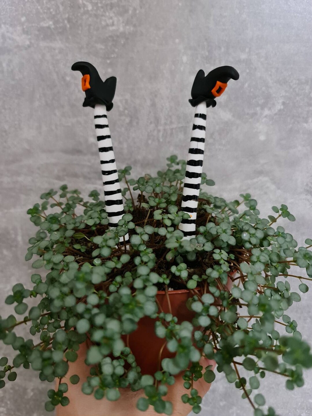 Plant Pot Decoration, Halloween Decor, Witch Legs, Fairy Garden - Etsy
