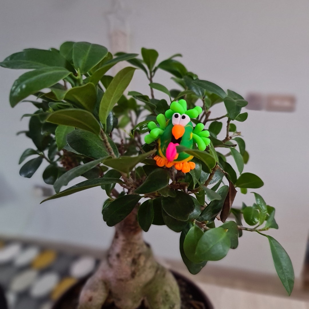 Crazy Parrots, Plant Pot Pets . Funny Plant Pot Decoration. - Etsy