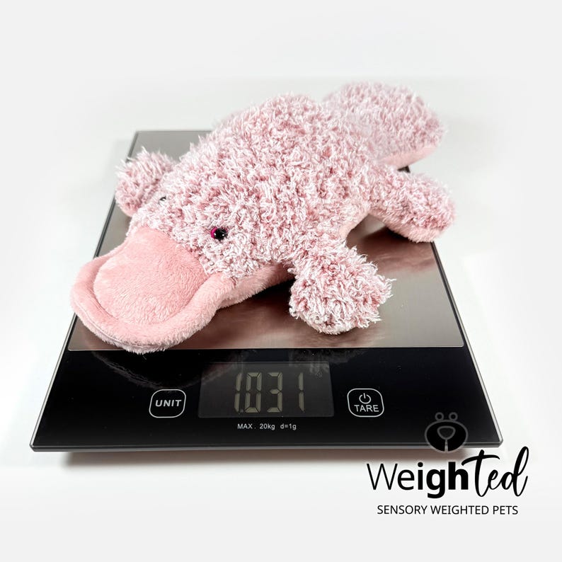 1kg Weighted Platypus 'bubbles' - Sensory Therapy Pet for Anxiety and ...