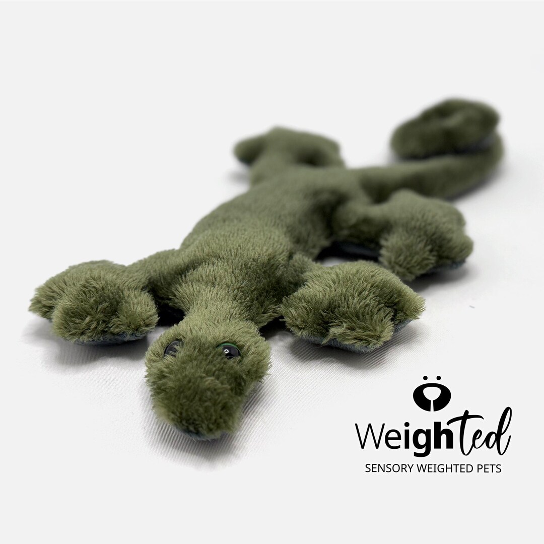 550g Weighted Pet Lizard 'pocket Forest' Tiny Pocket Sized Weighted ...
