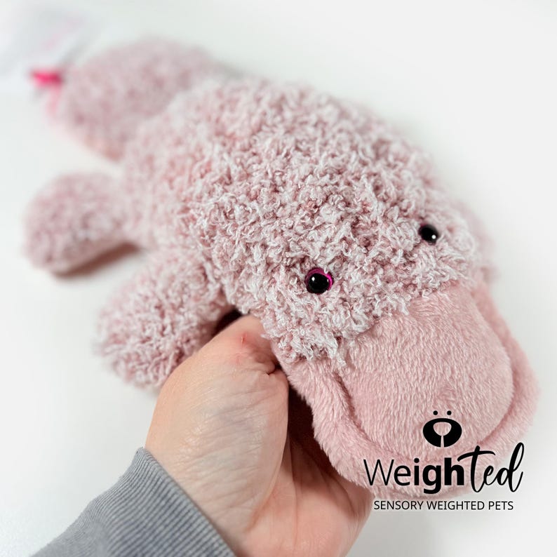 1kg Weighted Platypus 'bubbles' - Sensory Therapy Pet for Anxiety and ...