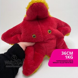 PDF SEWING PATTERN - 1kg Weigh-ted Starfish - Penny - Sew Your Own ...