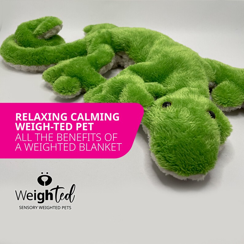 PDF SEWING PATTERN 1kg Weigh-ted Lizard Gregory Sew Your - Etsy