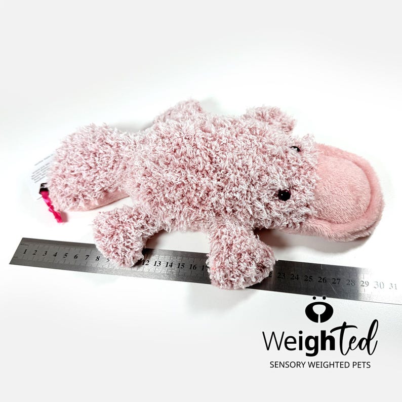1kg Weighted Platypus 'bubbles' - Sensory Therapy Pet for Anxiety and ...