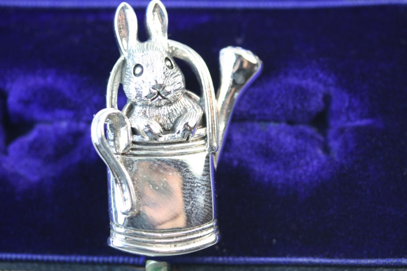 PETER RABBIT Beatrix Potter Peter Rabbit in the Watering Can Silver ...
