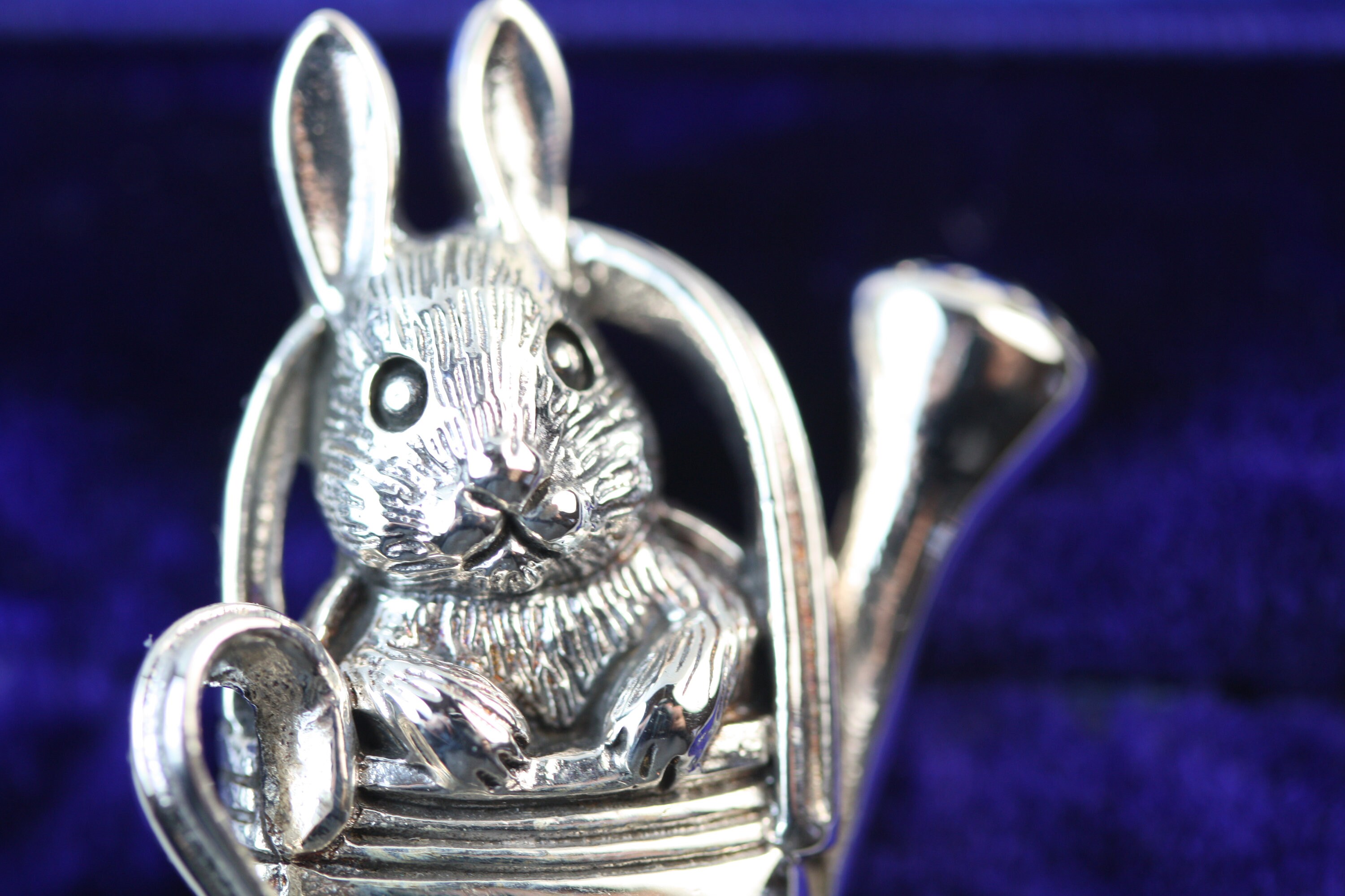 PETER RABBIT Beatrix Potter Peter Rabbit in the Watering Can Silver ...