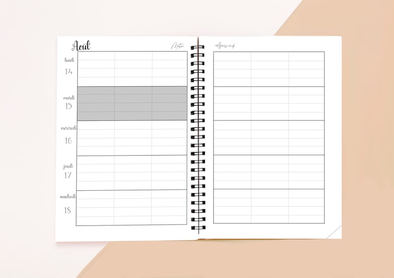 School Diary 2023/2024 A4 Format - Etsy