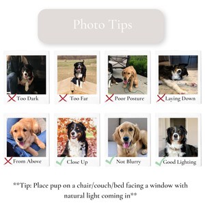 Custom Cat SVG Cut File, Cat Outline, Personalized Pet Photo, Custom ...