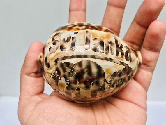 Sea Shell With Handcraft Elephants Ornament Paperweight - Etsy