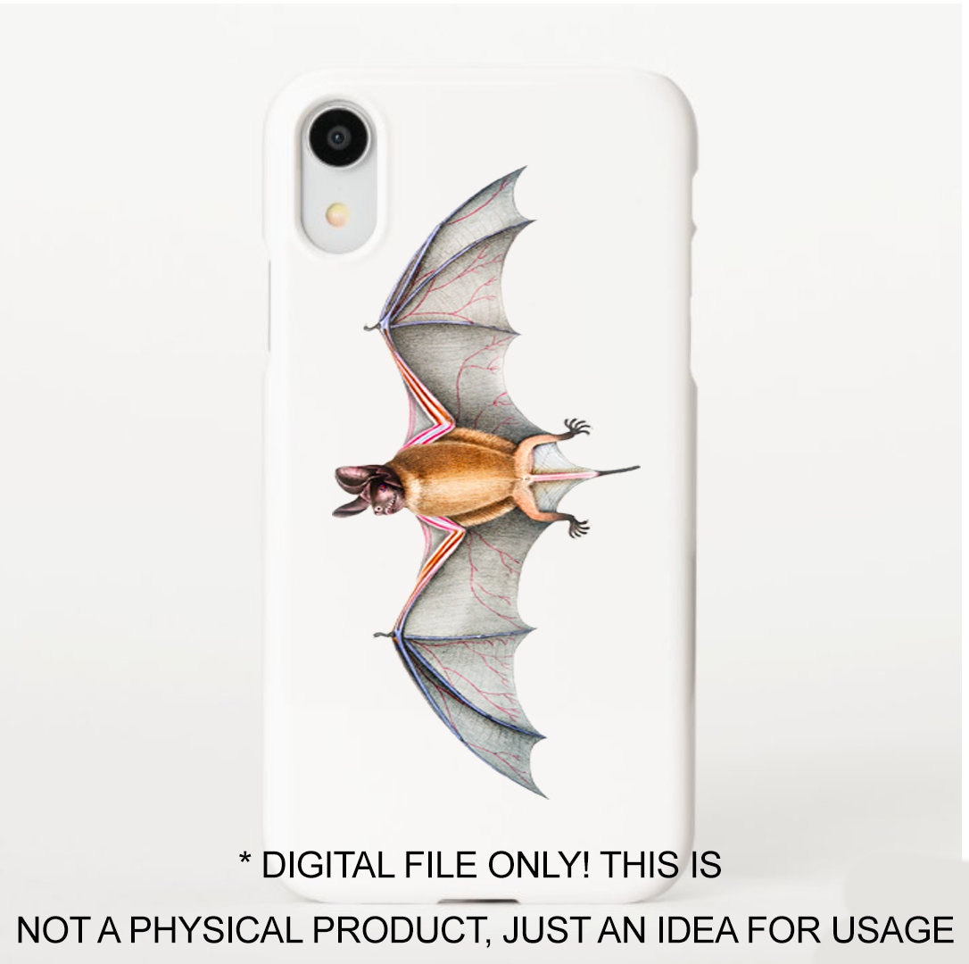 Color Bat Digital Download Vintage Illustration Printable | Etsy