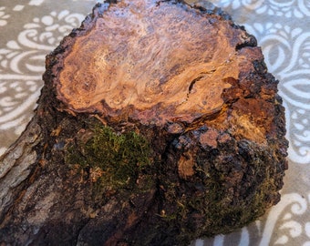 Cherry Burl Wood | Etsy