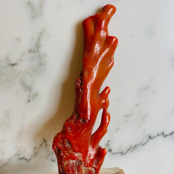 Red Coral Branches - Etsy