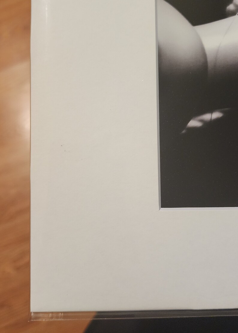 Shibari Barbie Futomomo & Harness 2 Photographic Print in Mat - Etsy