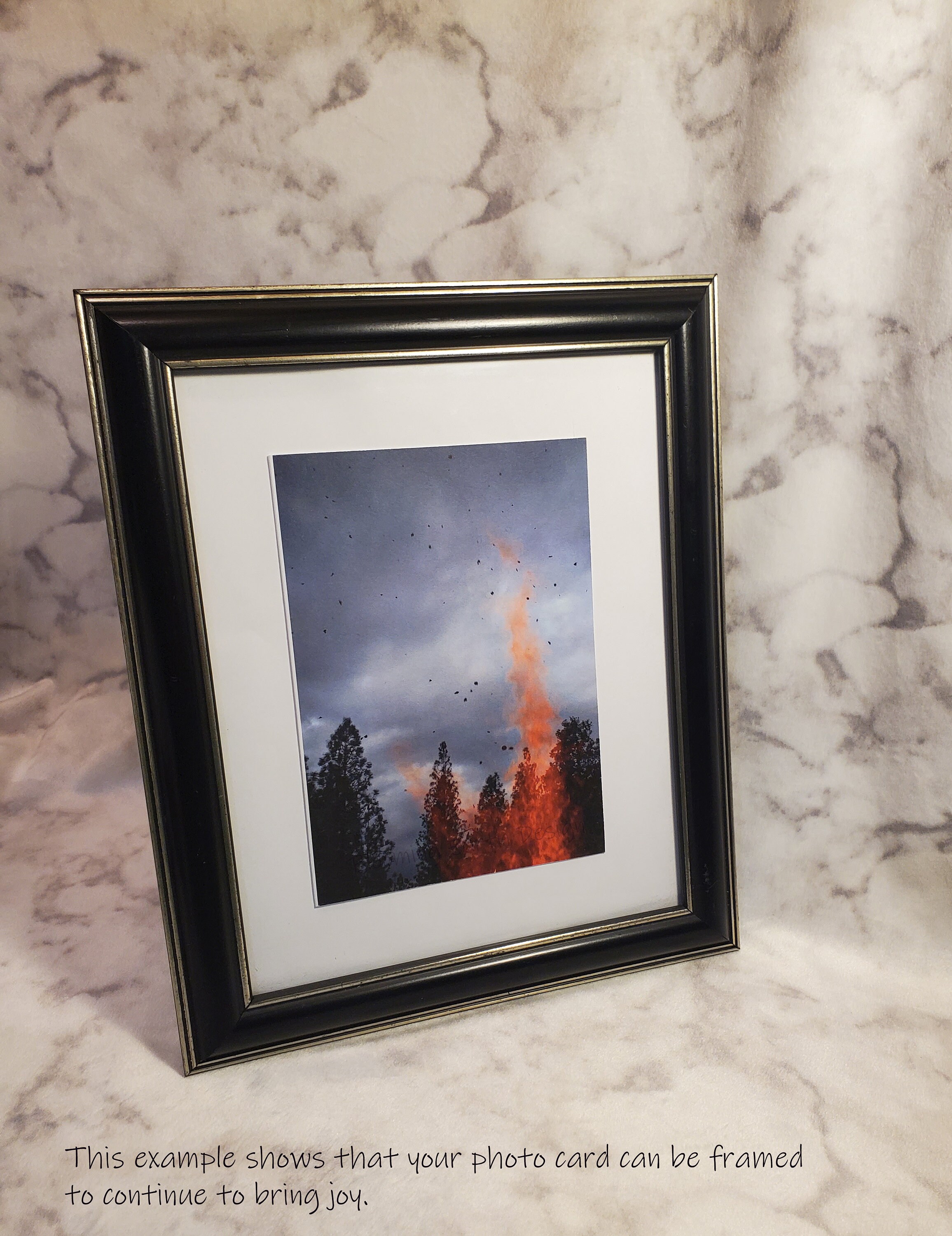 2021 Yeartext JW Trees 5x7 Greeting Card With Envelope - Etsy