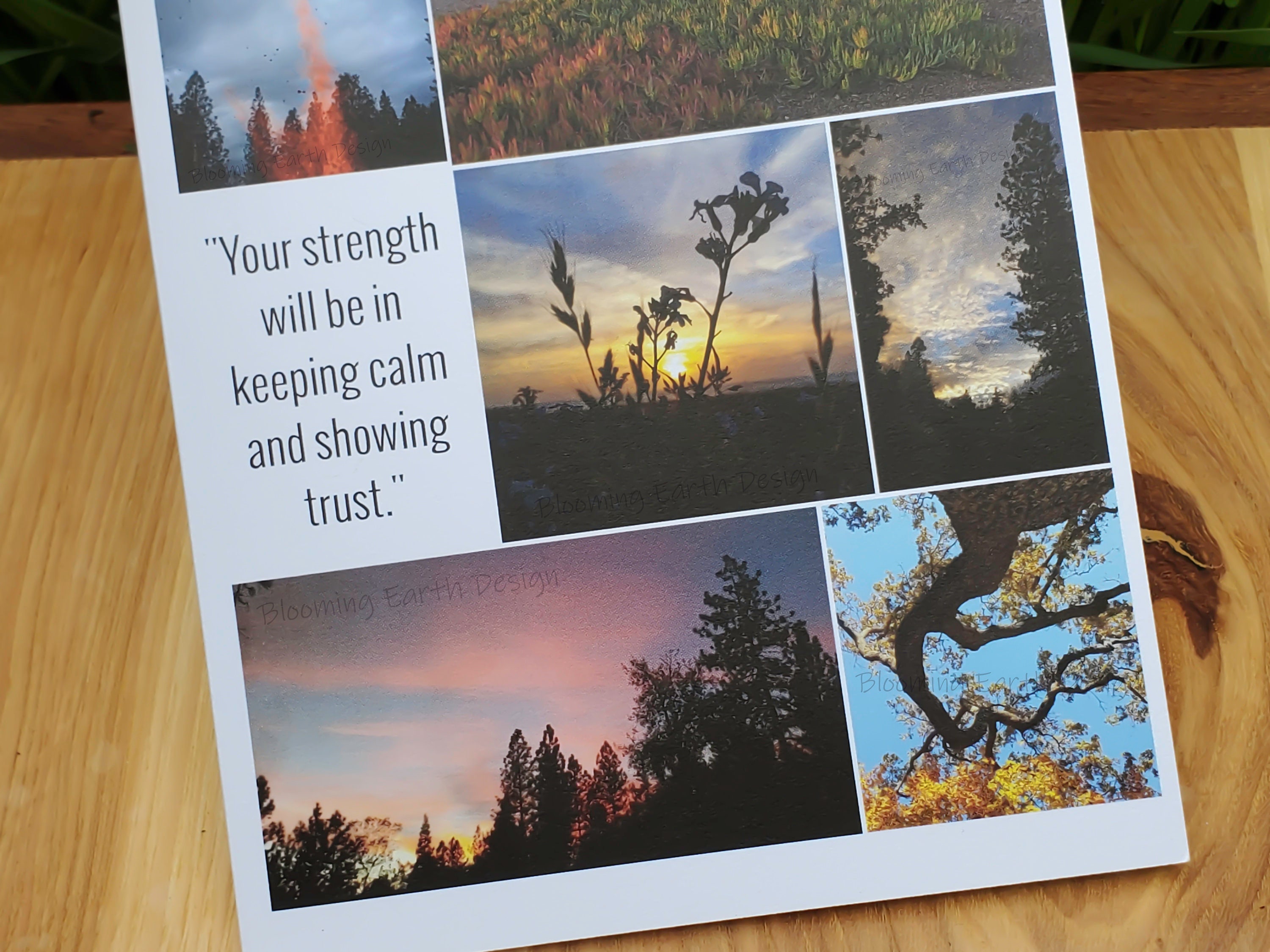 2021 Yeartext JW Trees 5x7 Greeting Card With Envelope - Etsy