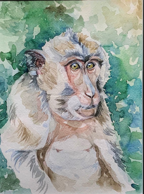 Monkey Portrait Original Watercolor Macaque Wild Animal | Etsy