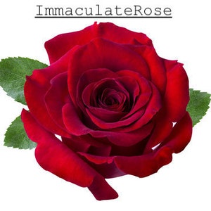 Our Lady of Fatima Rose Miraculous Medal Amethyst Citrine and Rose ...