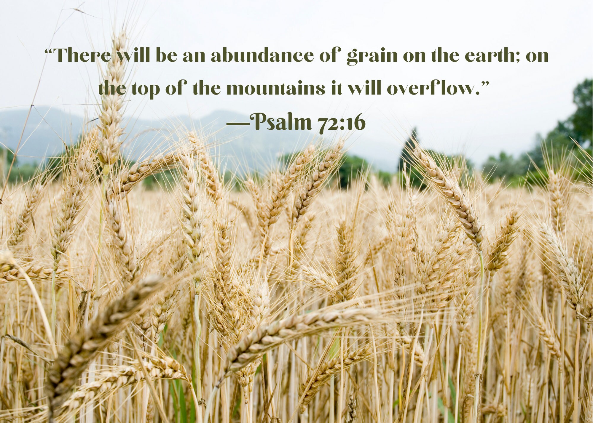 JW 5x7 Greeting Card w/ Scripture Psalm 72:16 Encouragement | Etsy