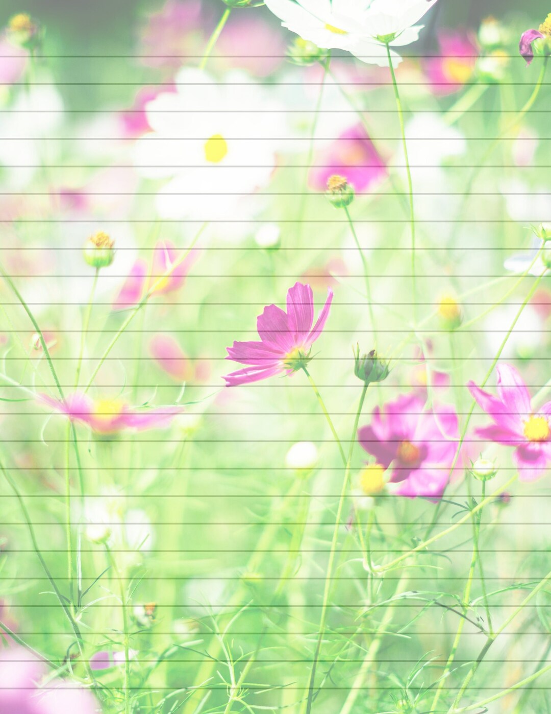 8.5x11 5 Ct Assorted Lined Digital Download Stationery Summer Flowers ...