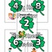 Shamrock Shuffle St Patricks Day Game for PE, Movement Break, and Brain ...
