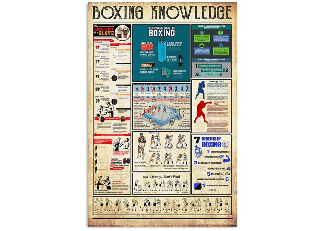 Boxing Knowledge Poster, Boxing Fighter Anatomy Poster, Boxing Poster ...