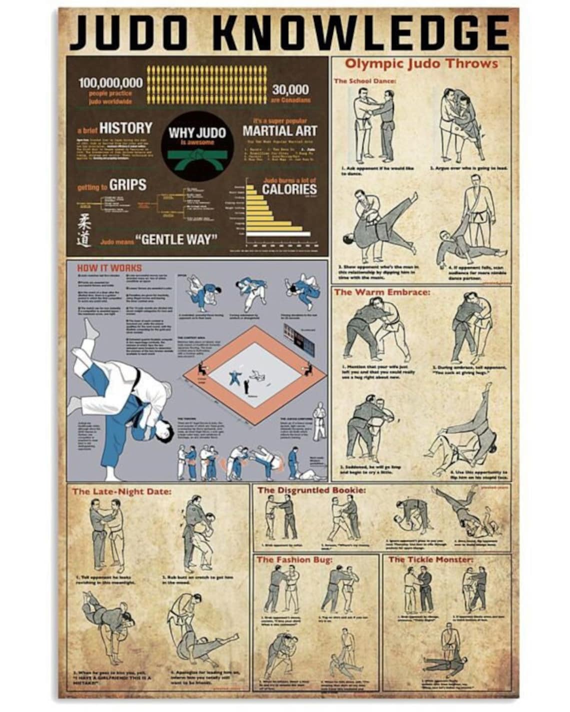 Judo Knowledge Poster Judo Poster Judo Wall Art Decor - Etsy UK