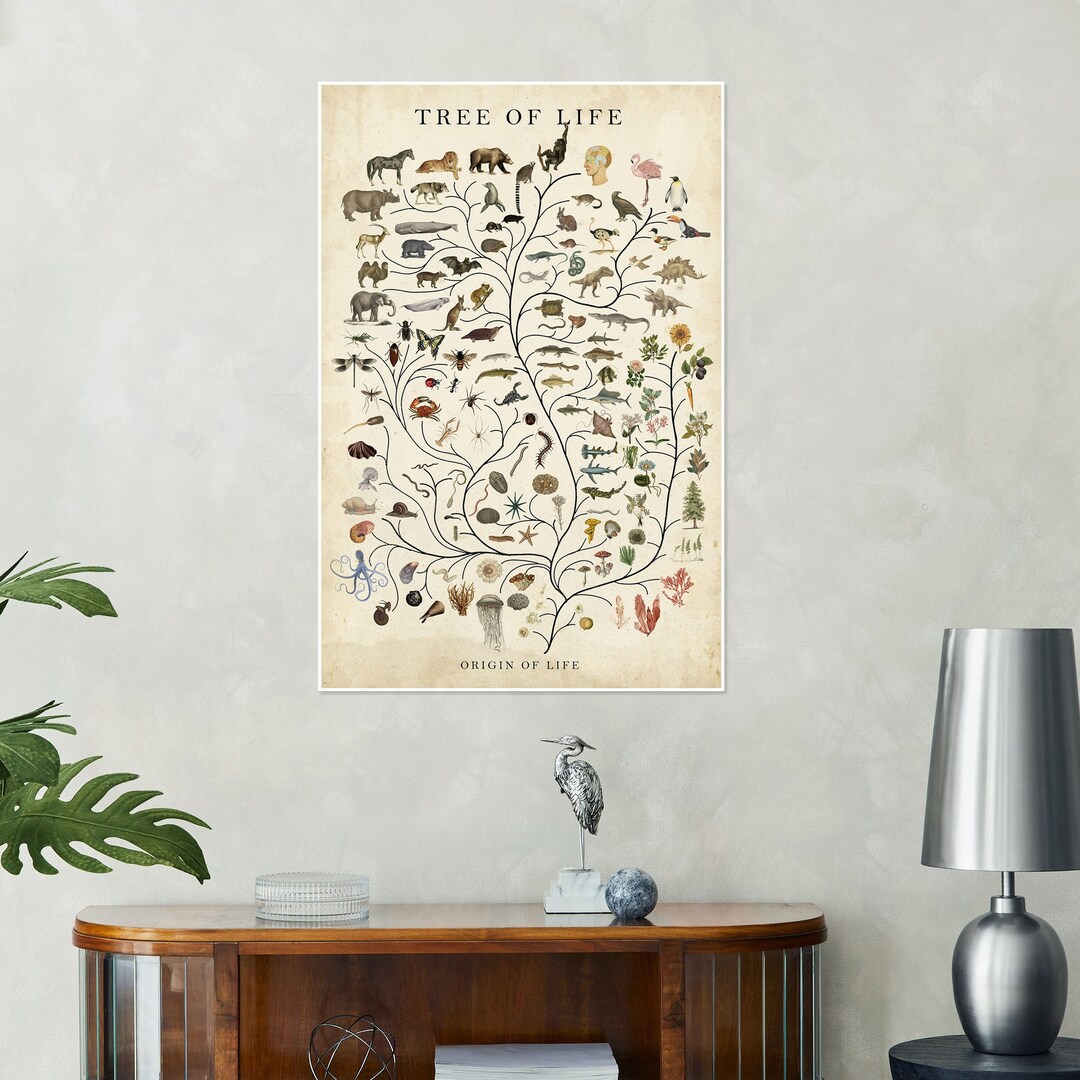 Tree of Life Poster, Natural History Poster, Origin of Life Knowledge ...