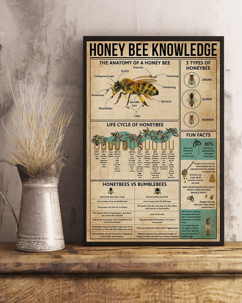 Honey Bee Knowledge Poster Honey Bee Knowledge Art Print | Etsy