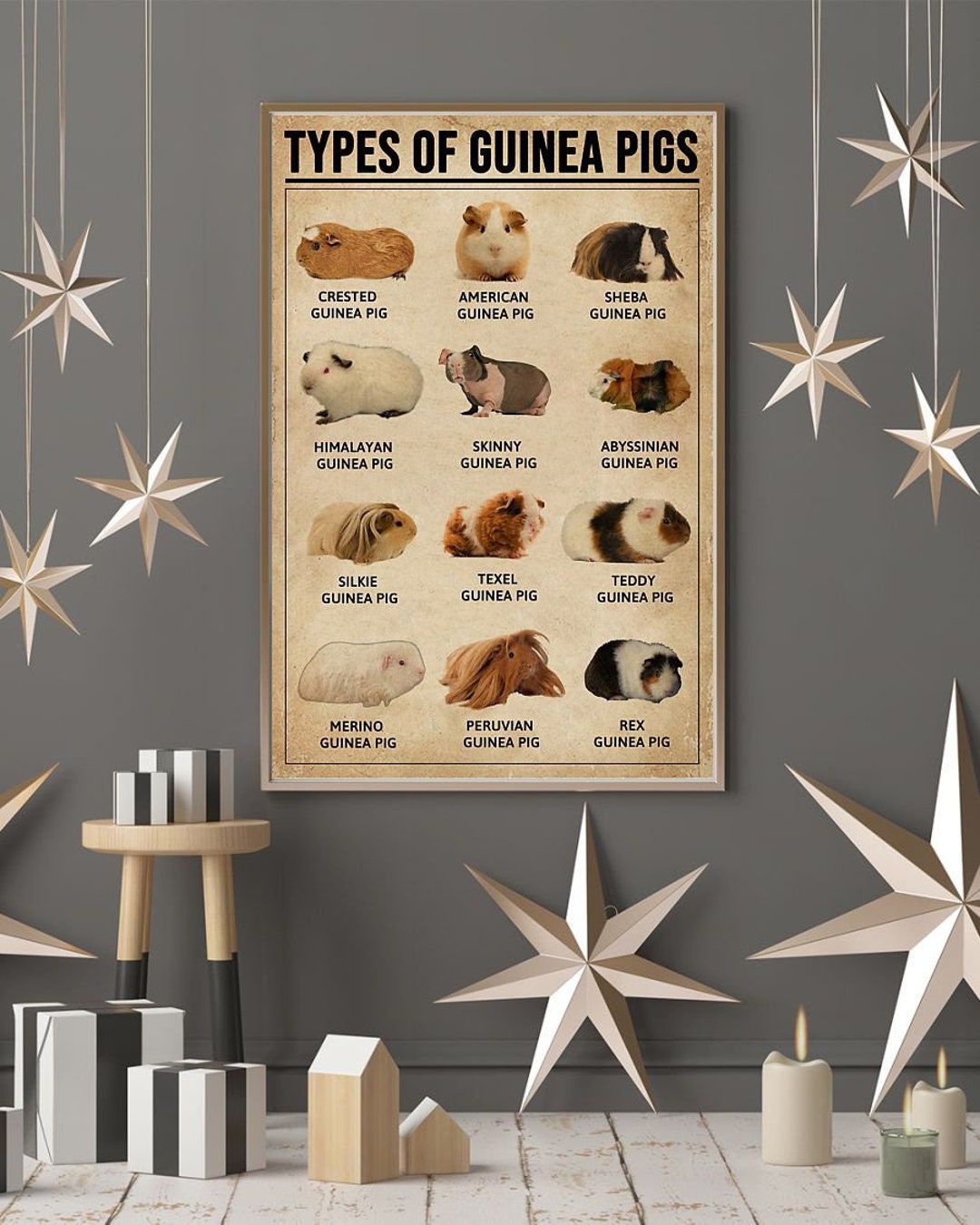 Types of Guinea Pigs, Guinea Pig Knowledge Art, Knowledge Poster ...