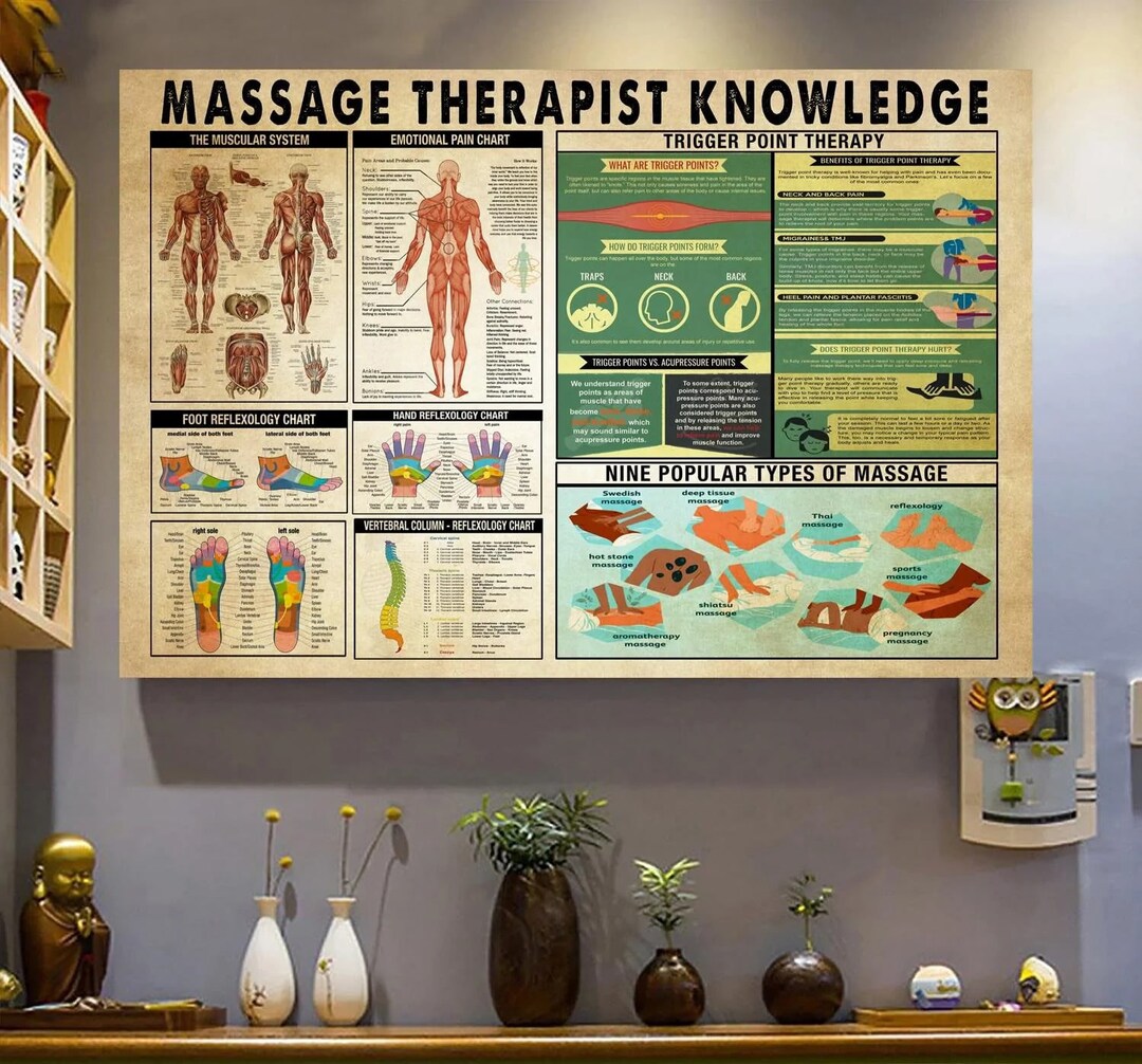 Massage Therapist Knowledge, Knowledge Poster, Trigger Point Therapy ...