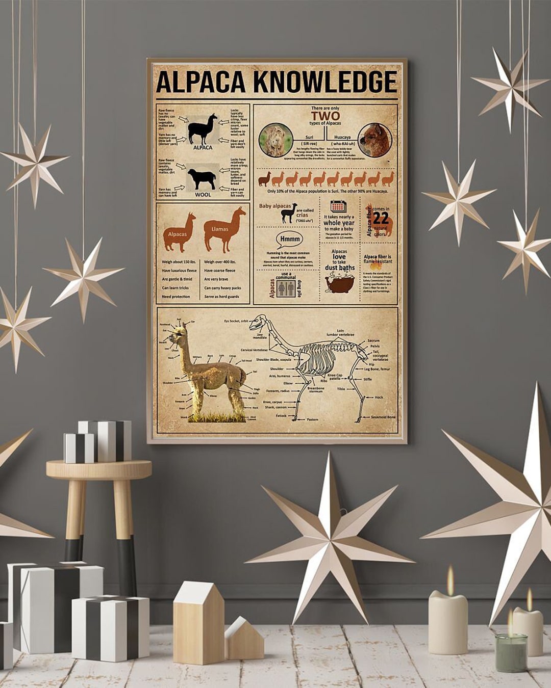 Alpaca Knowledge Poster, Alpaca Poster, Alpaca Knowledge Art Print ...