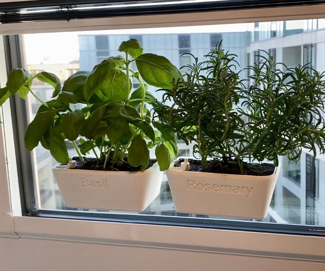 Personalised Window Planter Suction Cups [+ Self-watering Option ...