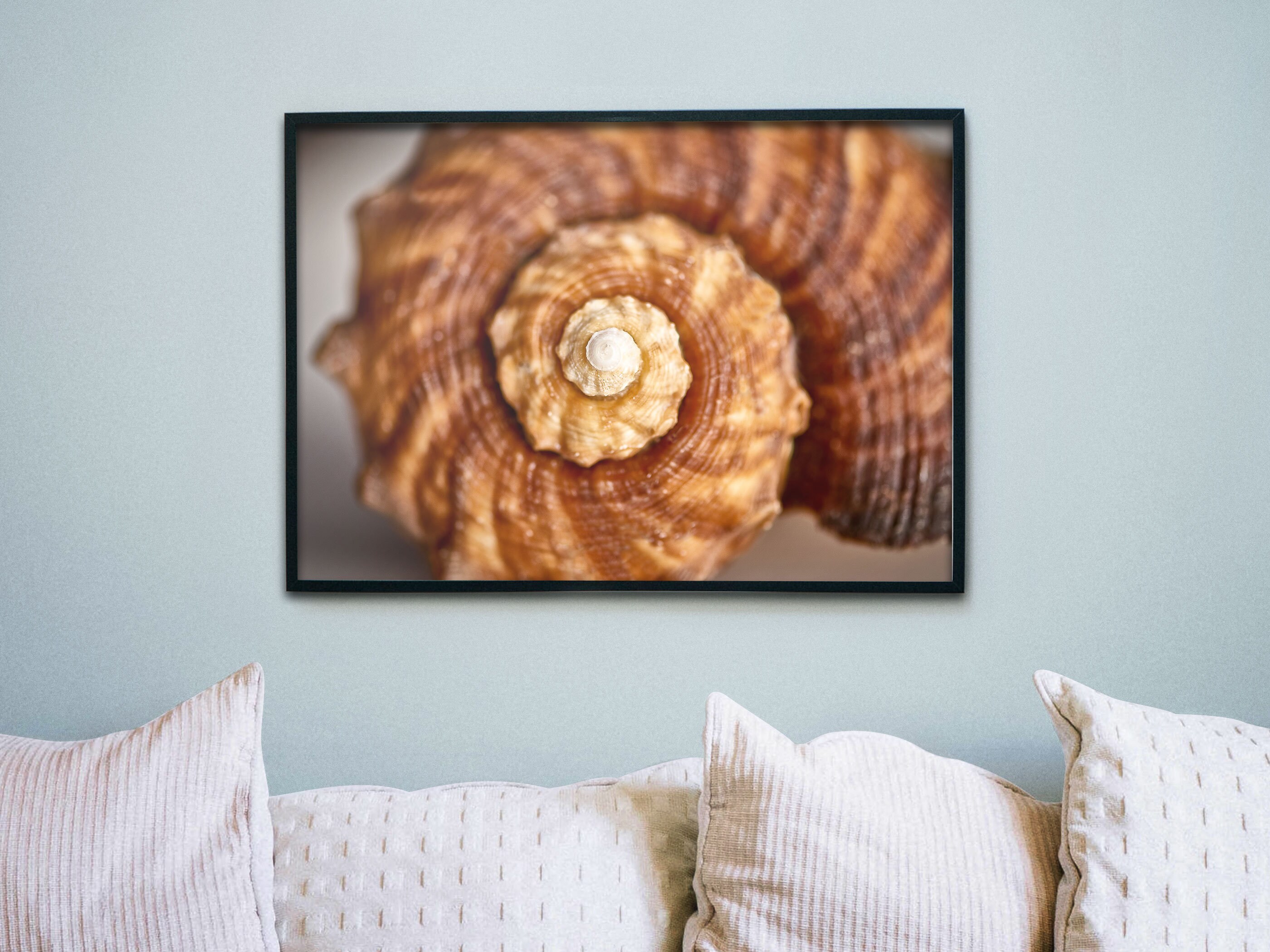 Seashell Printable Photography, Digital Download, Seashell Wall Art ...