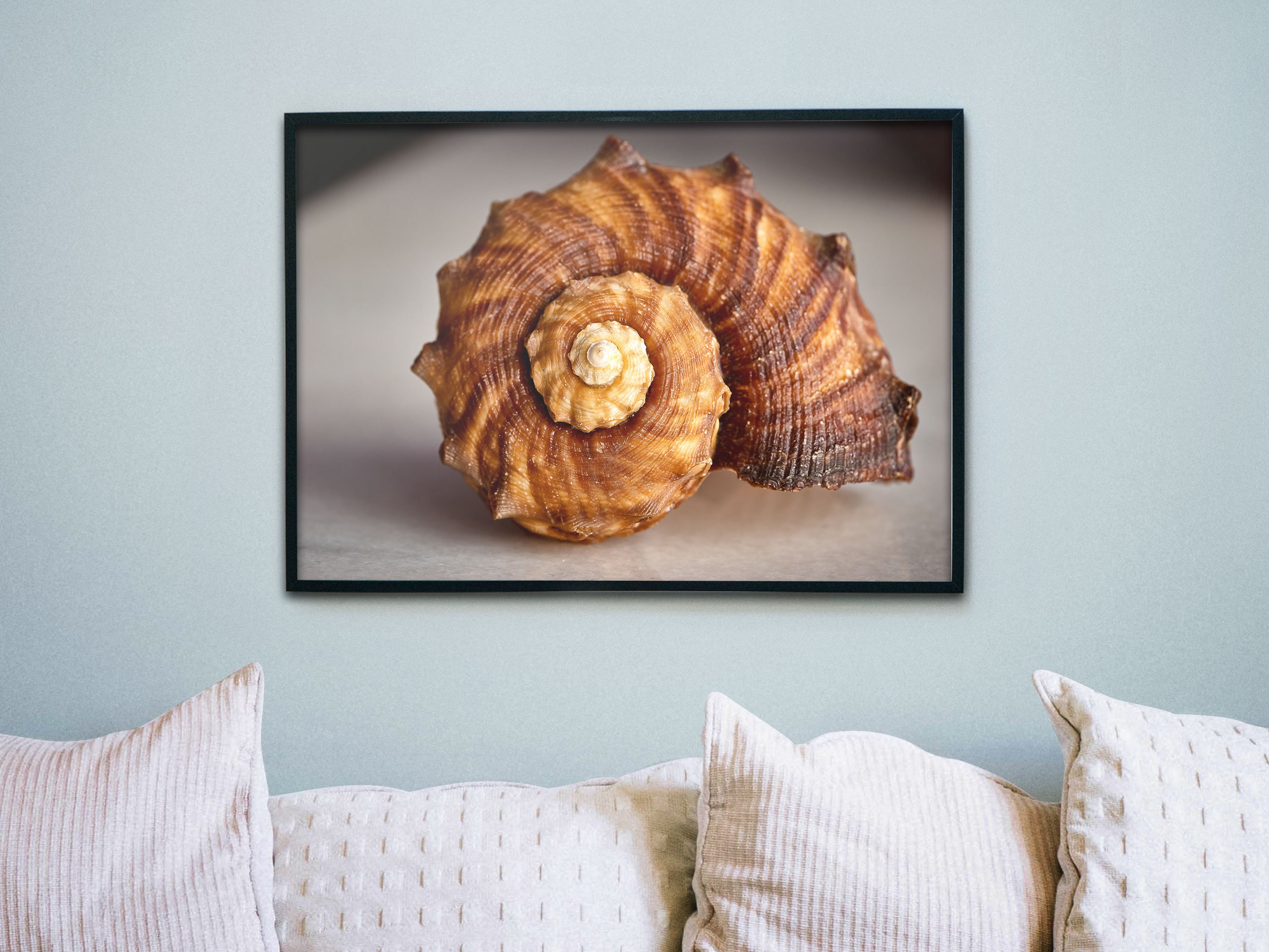 Seashell Print Digital Download, Seashell Photography Print, Nautical ...